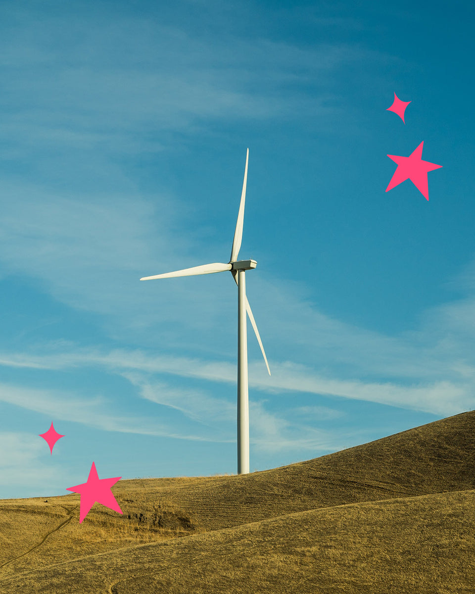 So, What's A Carbon Offset? – Wolven